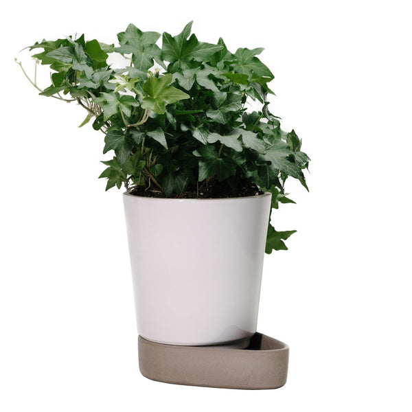 Case Sip Plant Pot by Ann Kristin Einarsen | Design Public