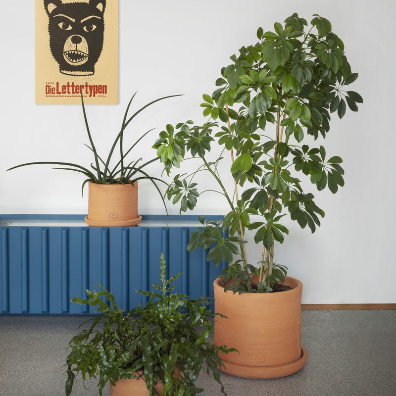 VAVAVA' Vase – Design Public
